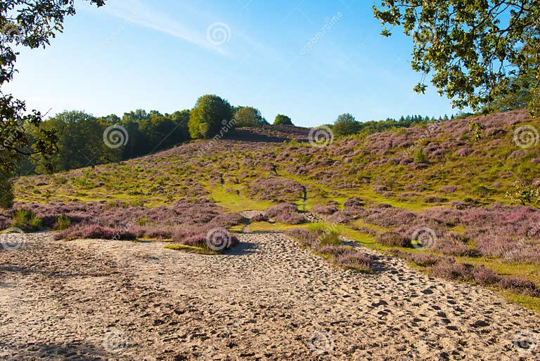 Varied landscape stock image. Image of country, beauty - 26516979