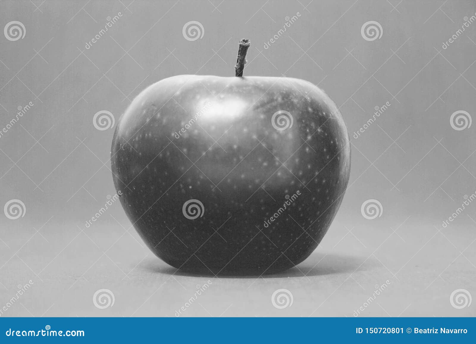 APPLE in MONOCHROME stock image. Image of closeup, macro - 150720801