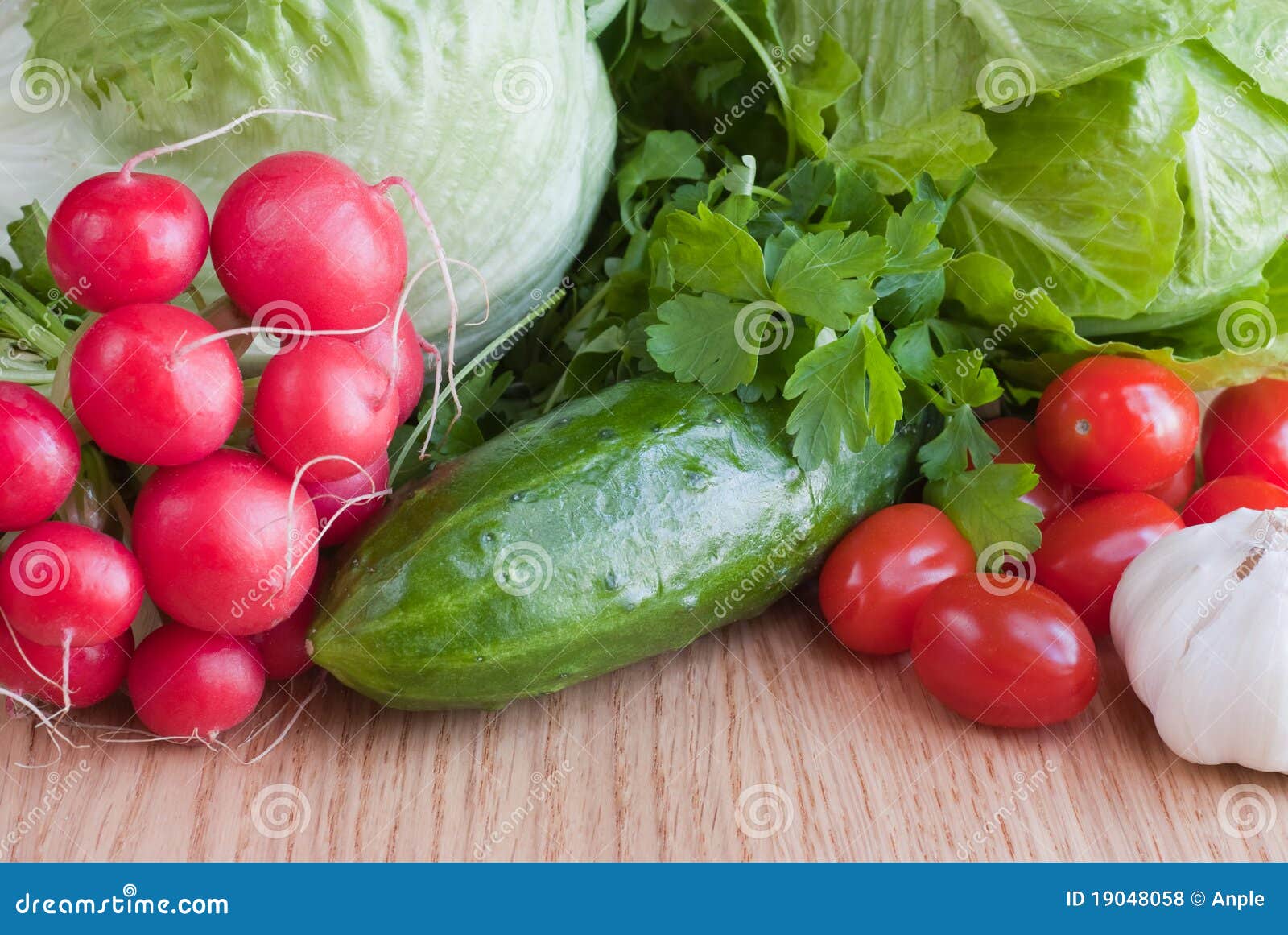 Varied vegetables. stock photo. Image of horizontal, color - 19048058