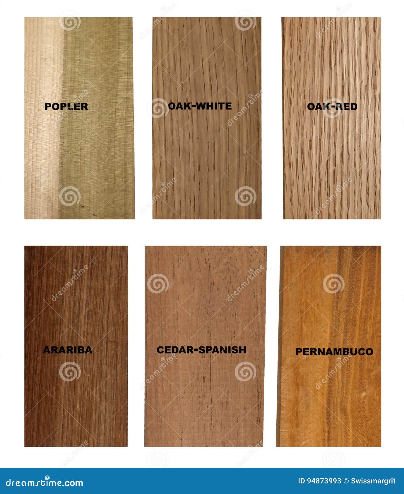 Variedad De Muestras De Madera Stock de ilustración - Ilustración de ...