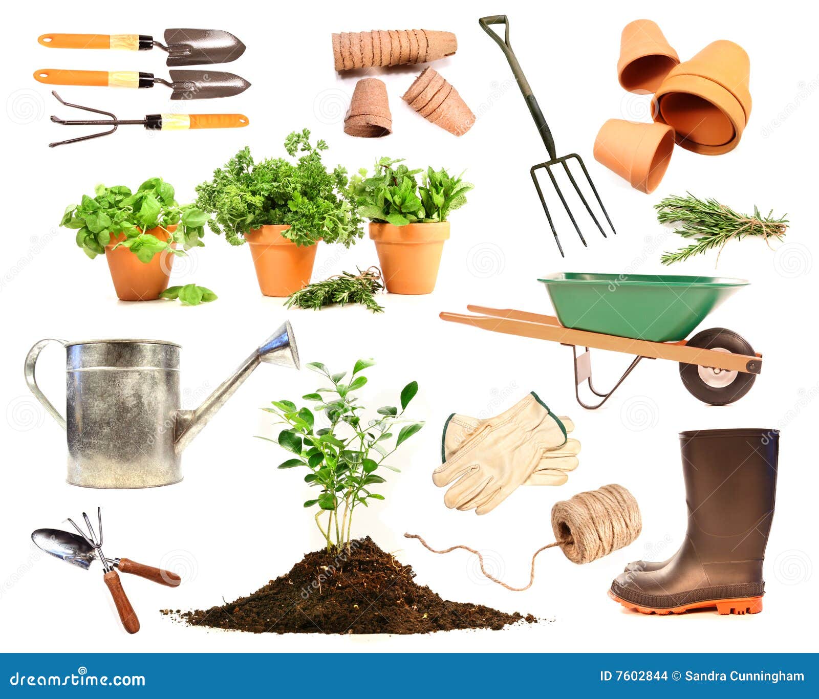 Variedad De Objetos Para El Resorte Que Planta En Blanco Foto de ...