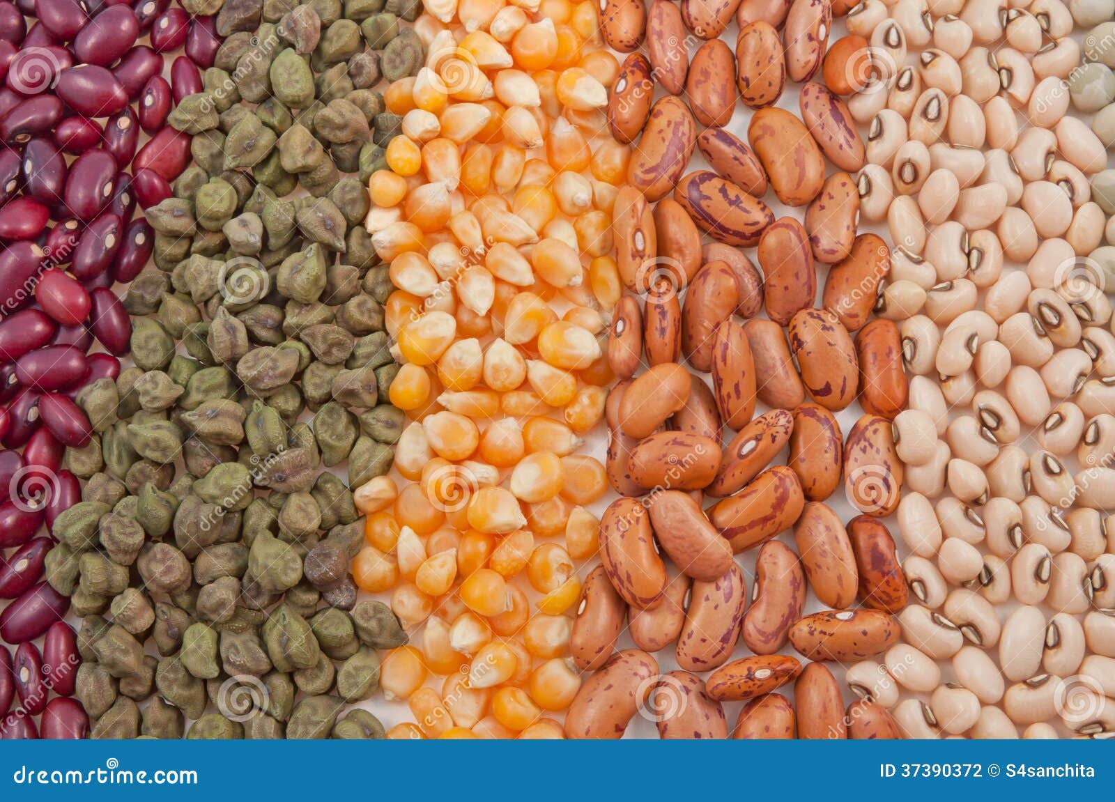 Variedad De Semillas Frescas Foto de archivo - Imagen de alimento ...