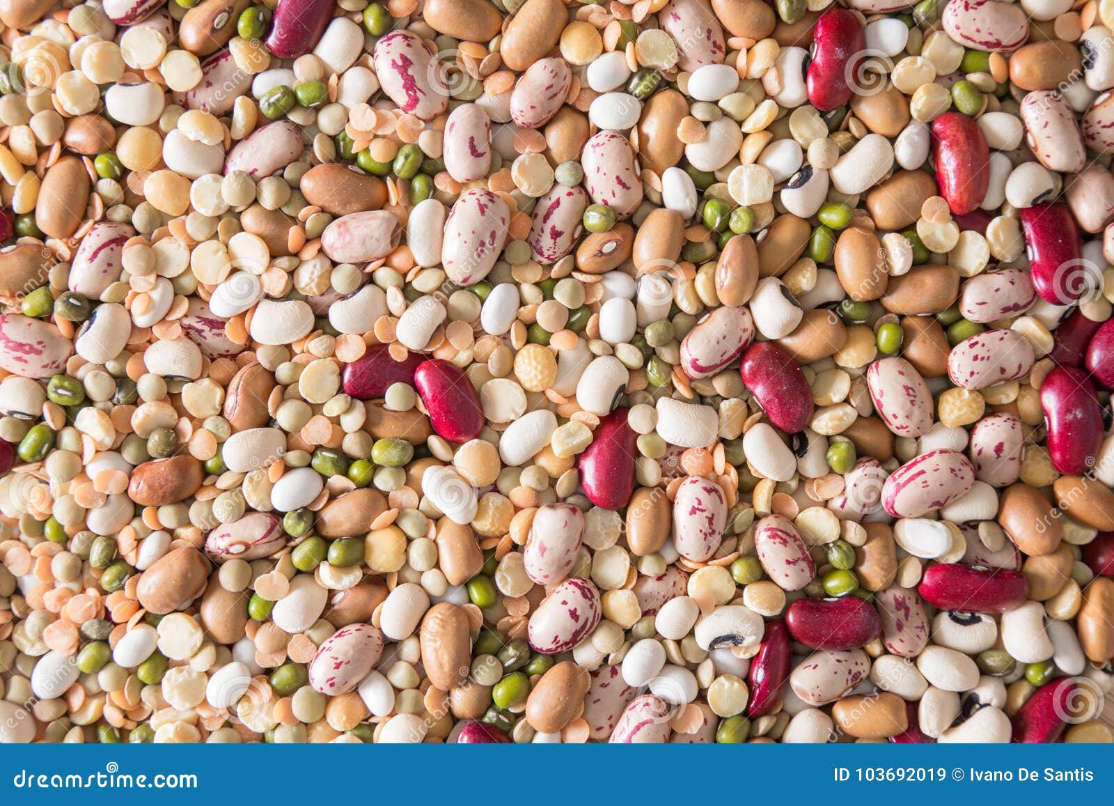 Variedade de leguminosa imagem de stock. Imagem de alimento - 103692019