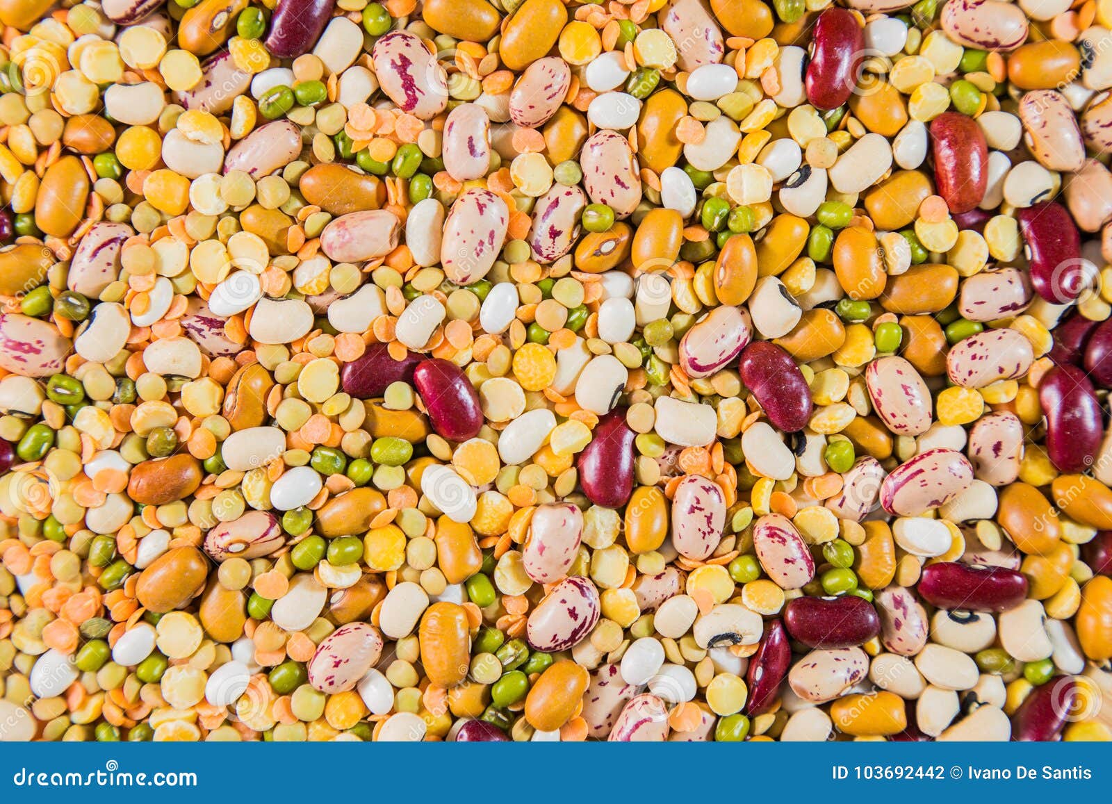 Variedade de leguminosa foto de stock. Imagem de vermelho - 103692442