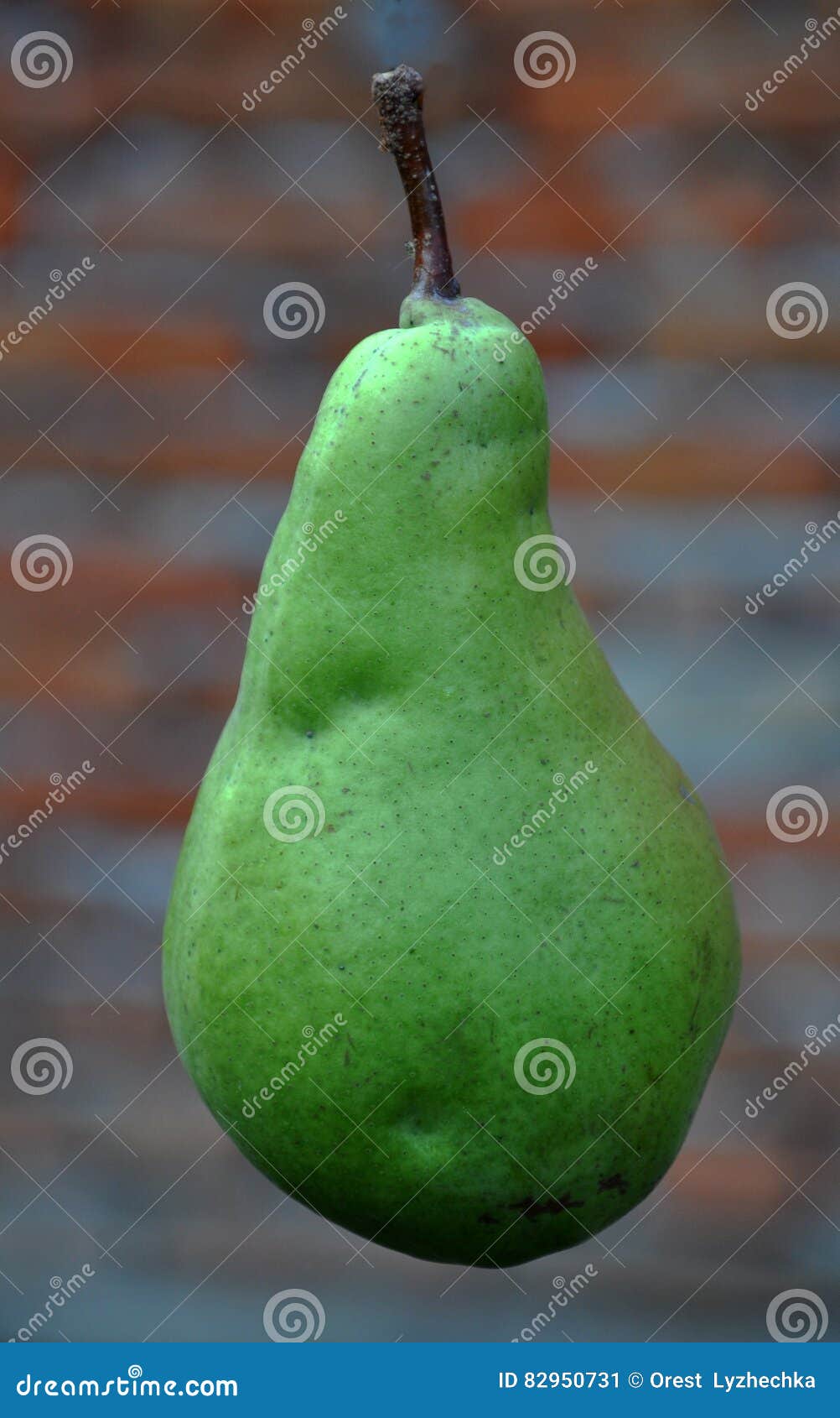 Variedades Da Pera Do Inverno Imagem de Stock - Imagem de sabor ...