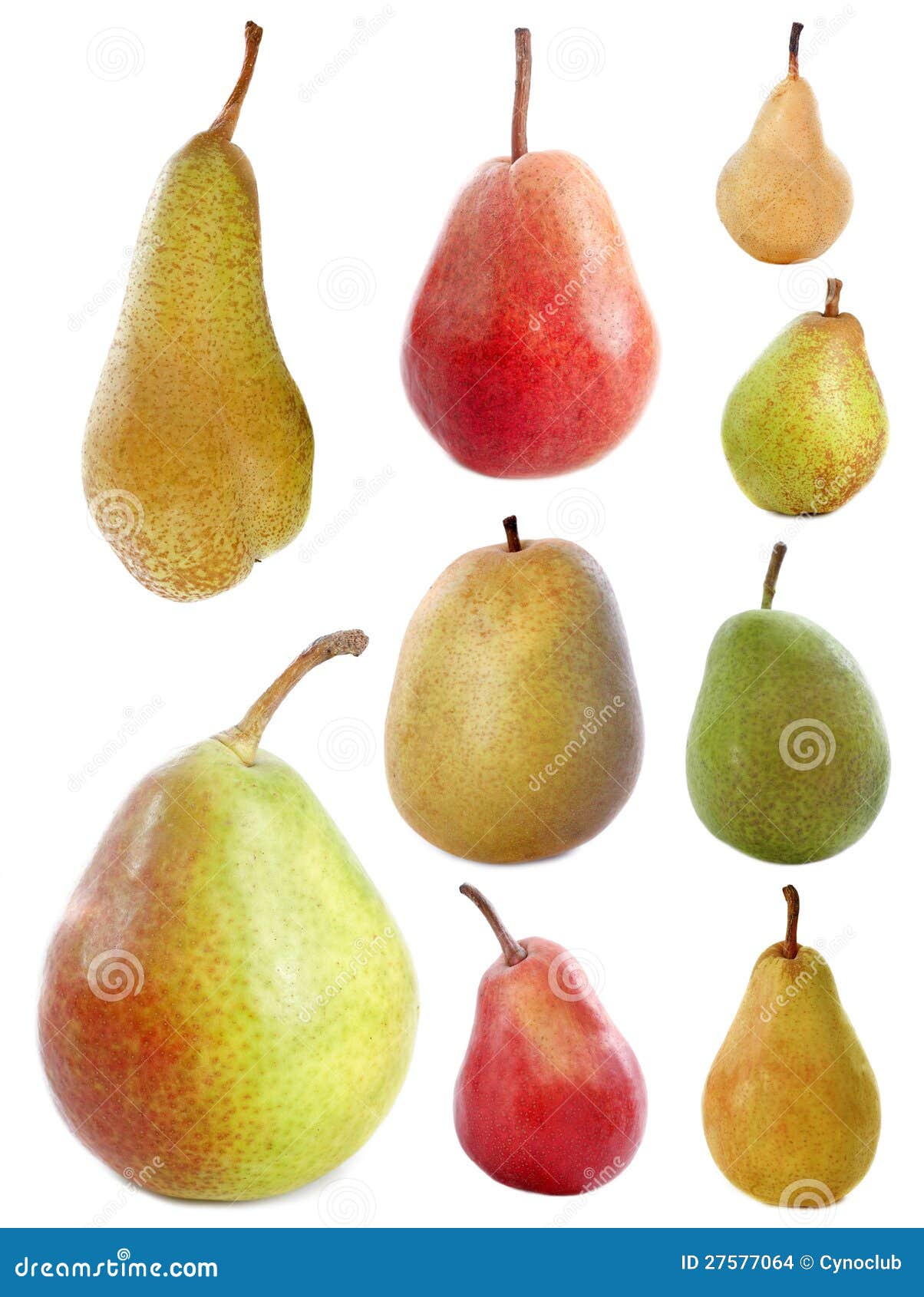 Variedades de peras foto de archivo. Imagen de rojo, conferencia - 27577064