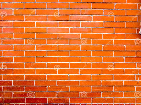 Variegated brick wall stock photo. Image of bird, brick - 78557708