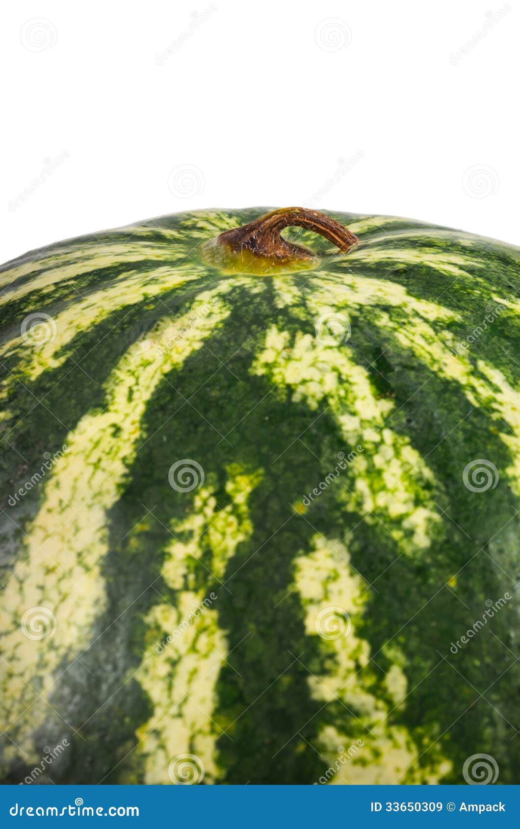 Variegated Rind of a Watermelon Stock Image - Image of texture ...