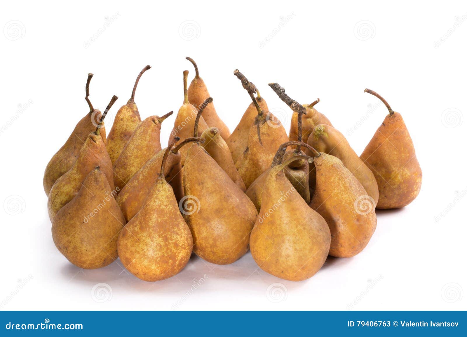 Varietà delle pere di Bosc immagine stock. Immagine di sfondo - 79406763