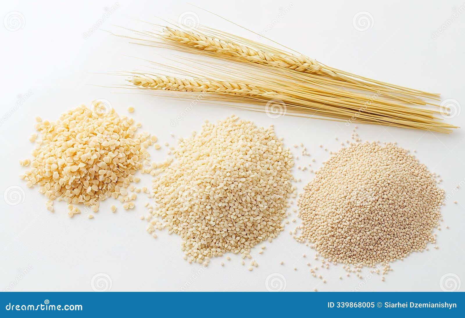 Varieties of Grains and Seeds Displayed Together, Showcasing Wheat and ...