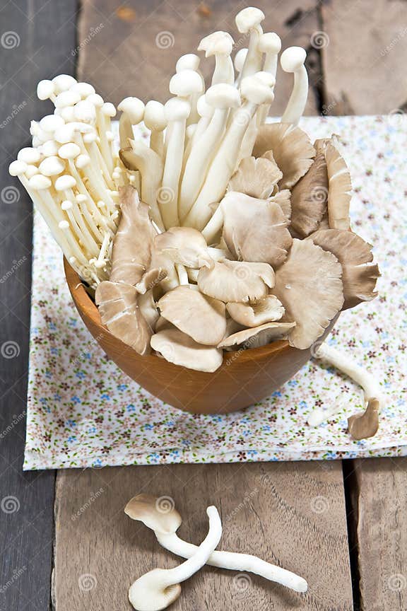 Varieties of Mushroom stock image. Image of pale, market - 23238503