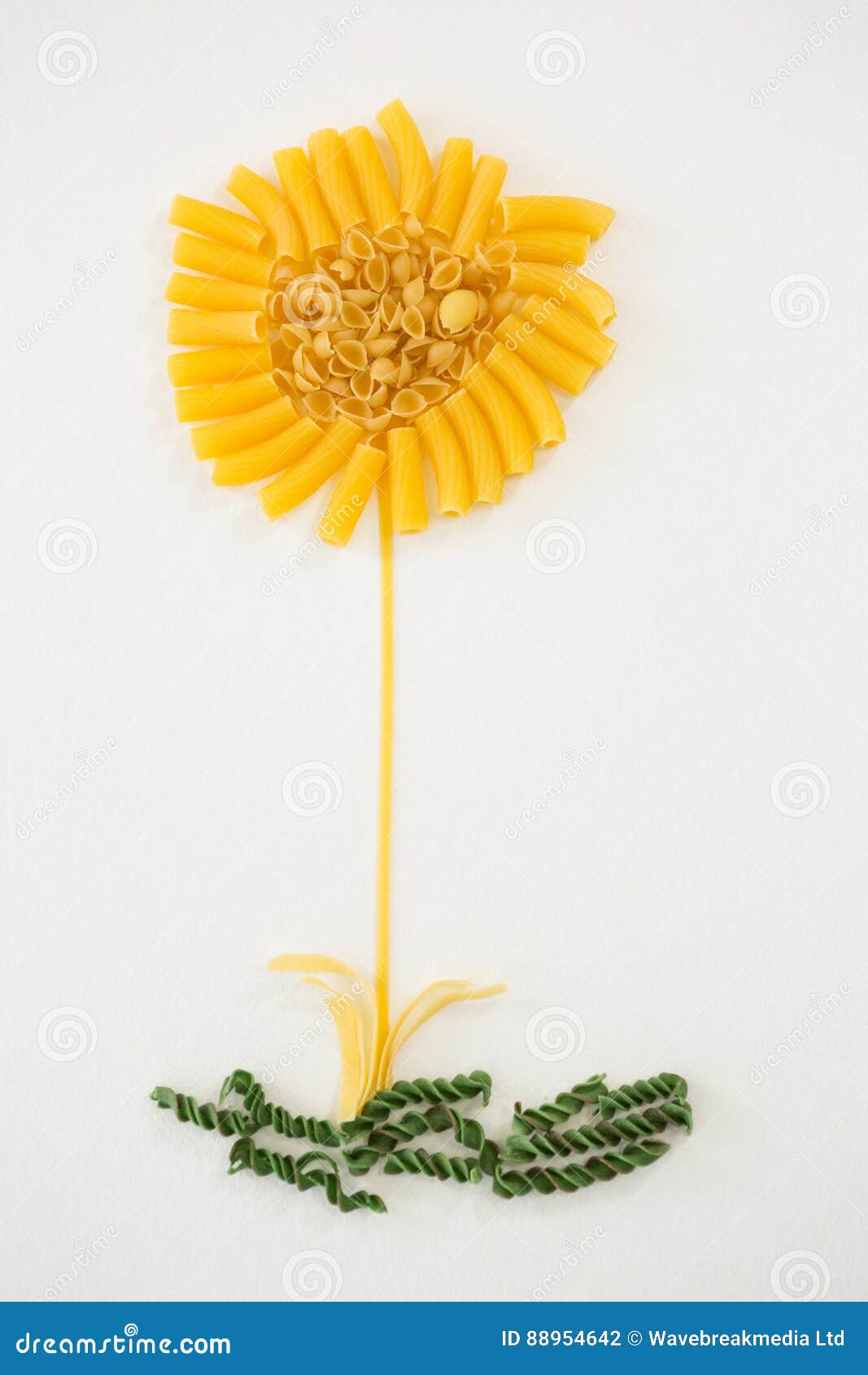 Varieties of Pasta Forming Flower Stock Photo - Image of fresh ...