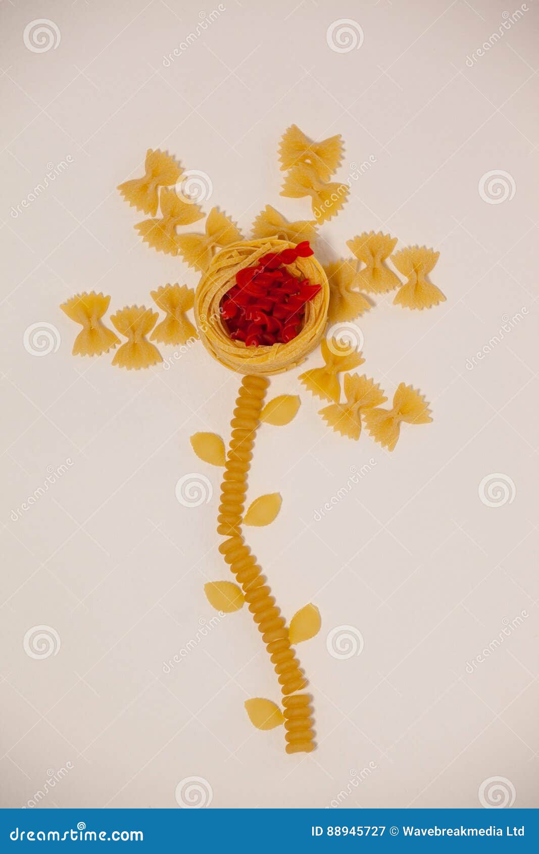 Varieties of Pasta Making a Flower Stock Image - Image of bowtie ...