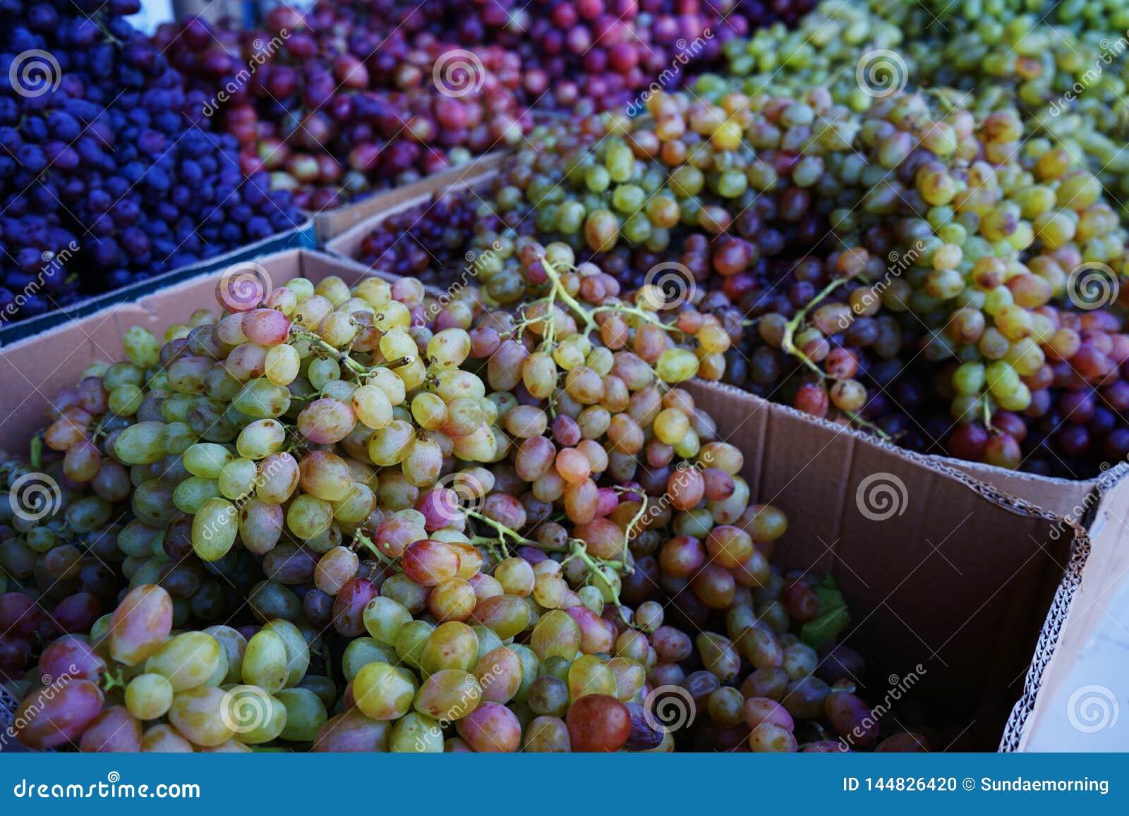 Varieties of Sweet Grape Cluster Retail Display at Xinjiang, China ...