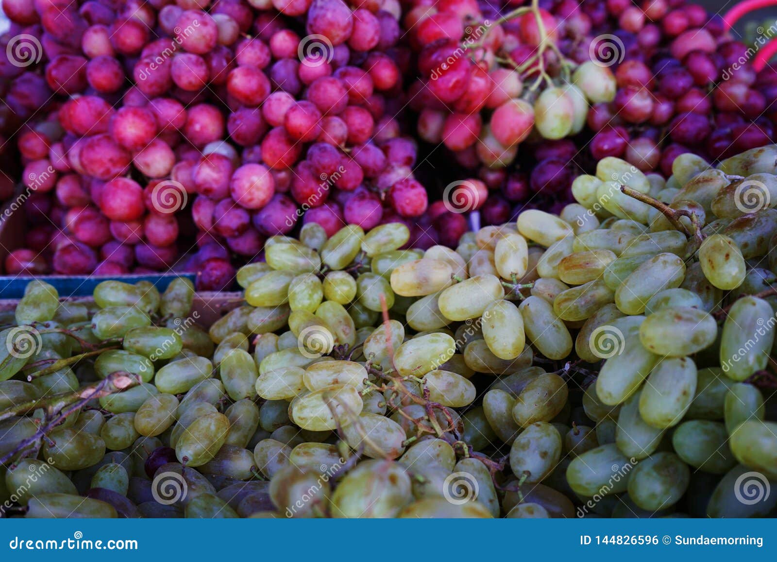 Grape Display Stock Photos - Download 1,828 Royalty Free Photos