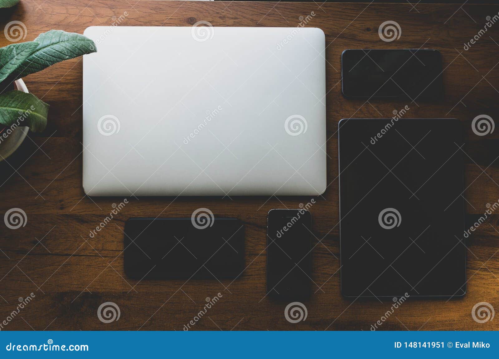 Variety of Apple Products on Display Stock Image - Image of equipment ...