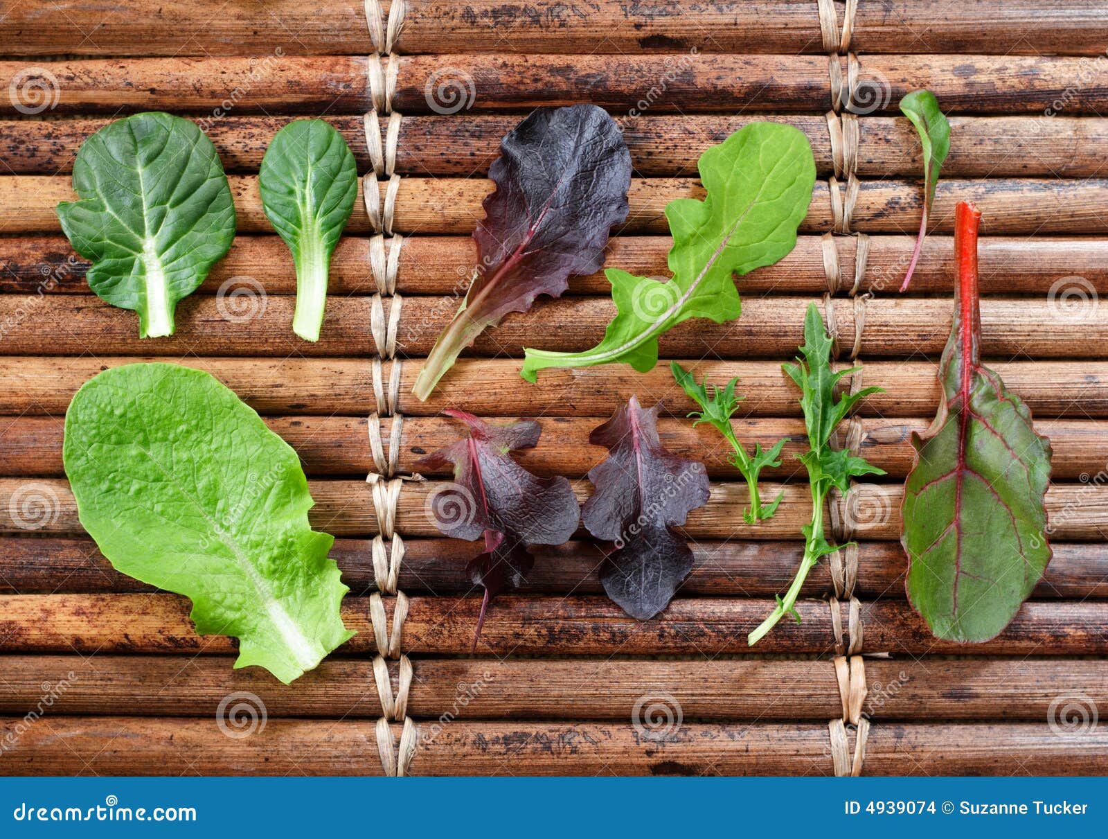 Variety of Baby Lettuce and Greens Stock Photo - Image of dieting ...