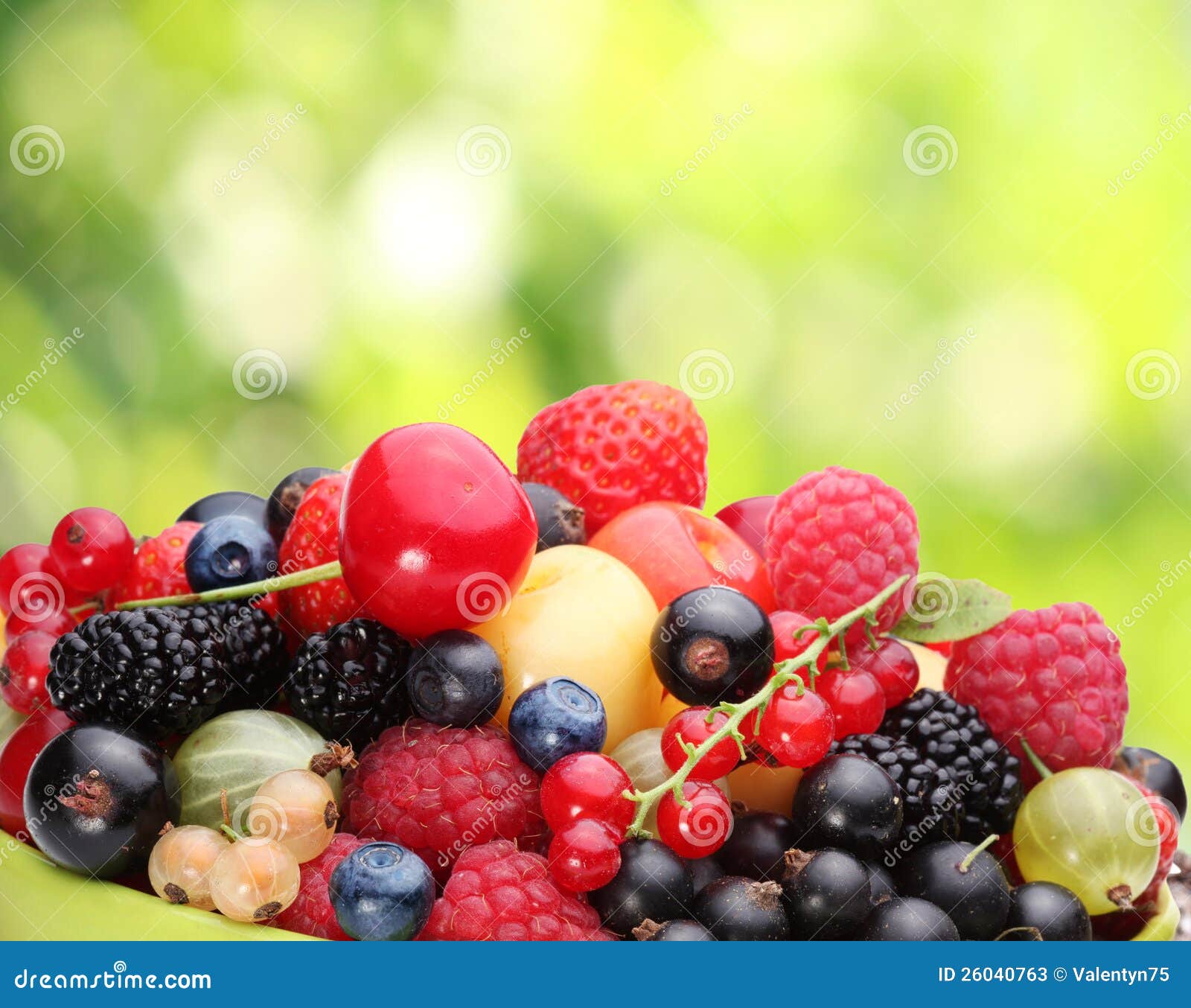 Variety of berries stock image. Image of summer, bilberry - 26040763