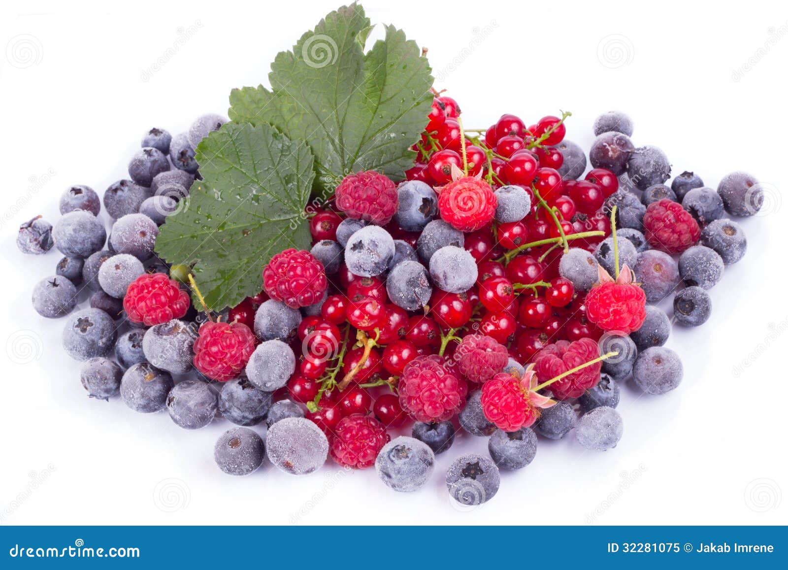 Variety of berries stock image. Image of detailed, leaves - 32281075