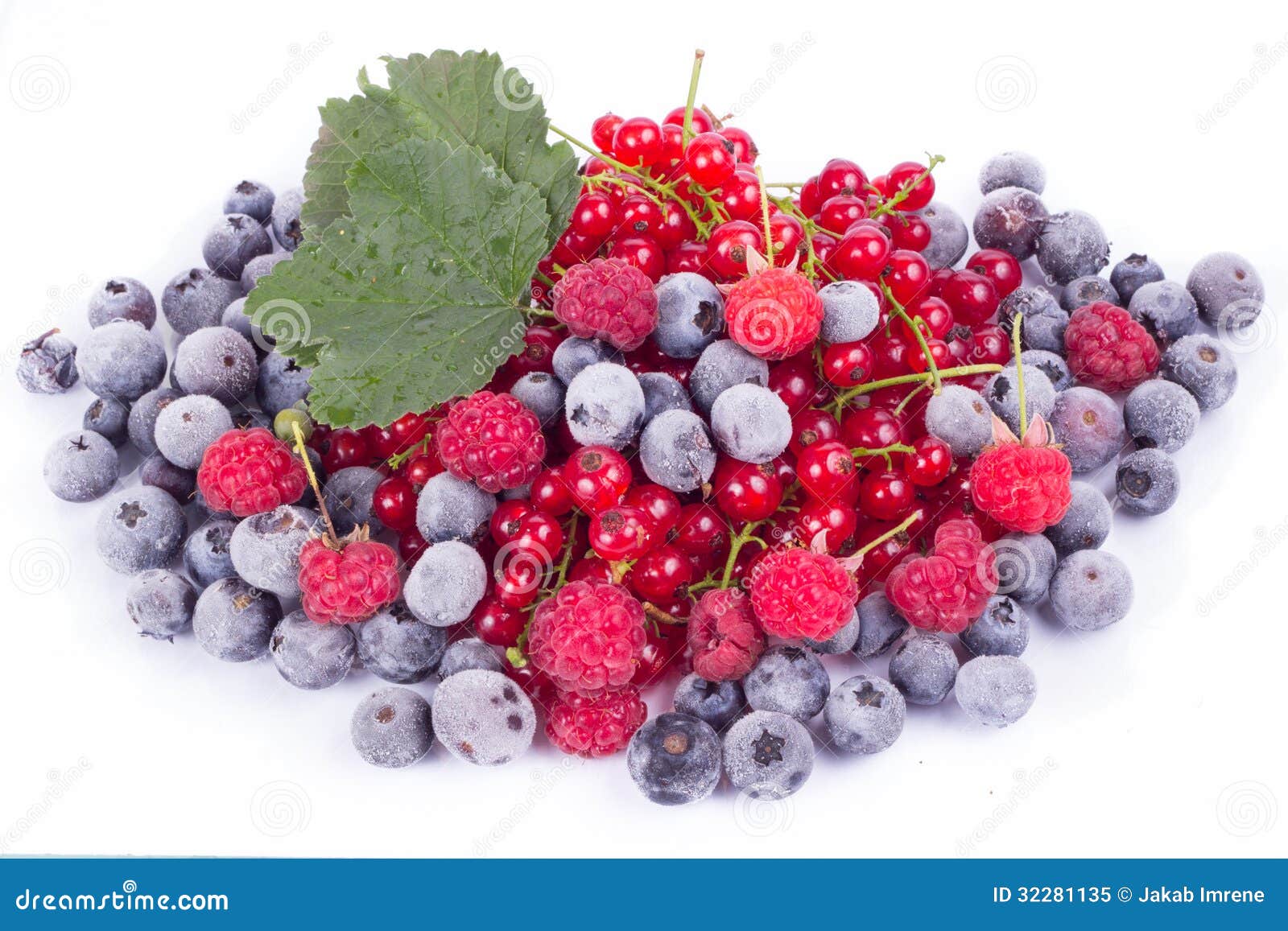 Variety of Berries with Leaf Stock Image - Image of berry, organic ...