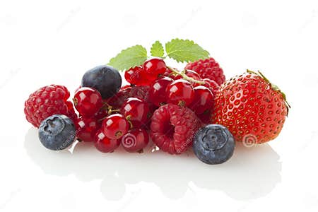 Variety of berry fruit stock photo. Image of fruit, sweet - 20018626