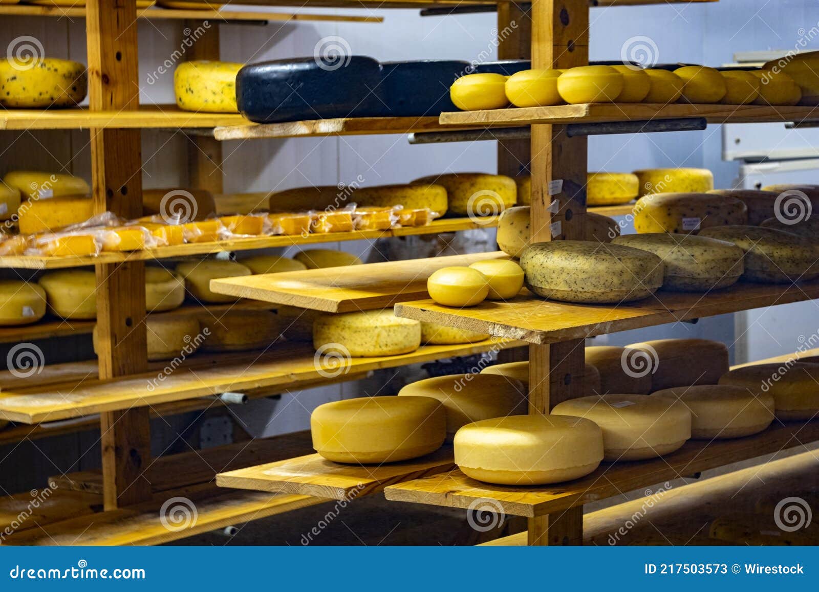 Variety of Cheese on Wooden Shelves Stock Image - Image of sale, milk ...