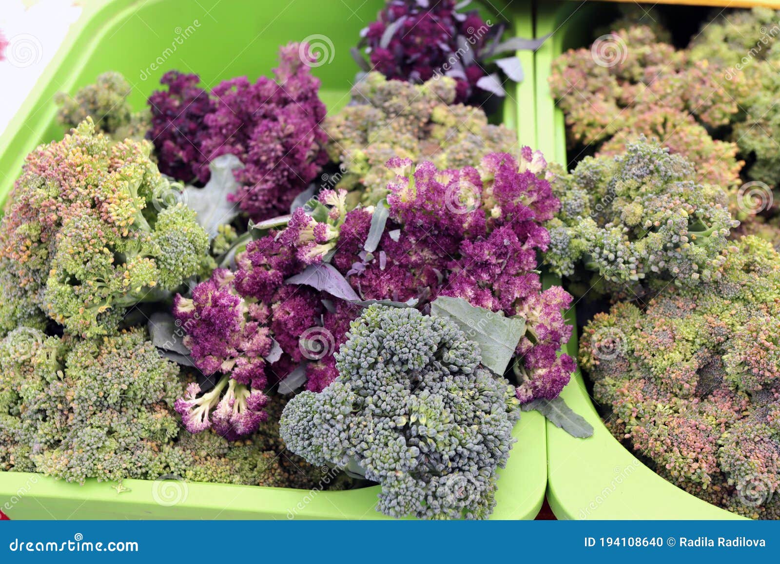 Variety of Colored Broccoli Vegetable Stock Photo - Image of salad ...