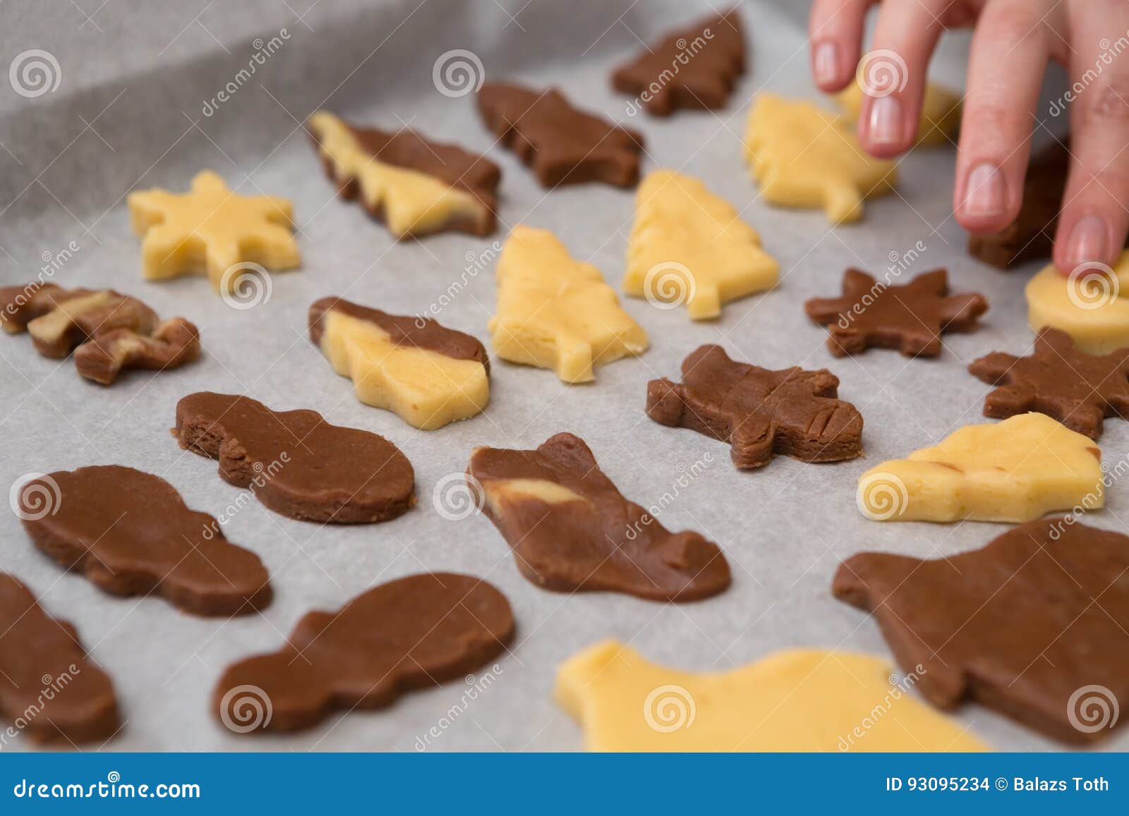 Variety of Cutout Cookie Shapes Stock Photo - Image of flavor, healthy ...