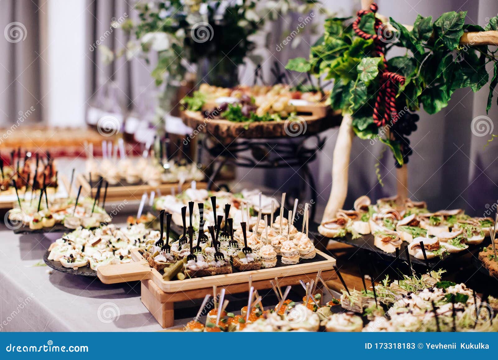 A Variety of Delicious Appetizers, Snacks on the Table at a Party Stock ...