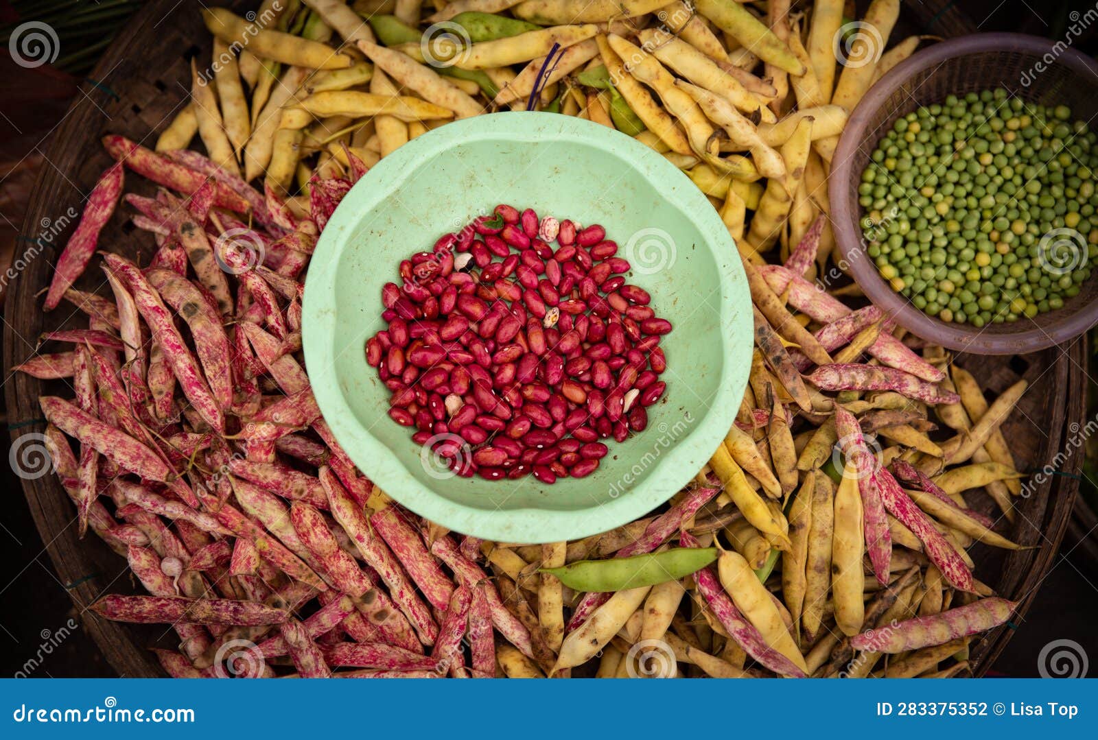 Variety Different Types of Dry Beans Stock Photo - Image of ingredients ...