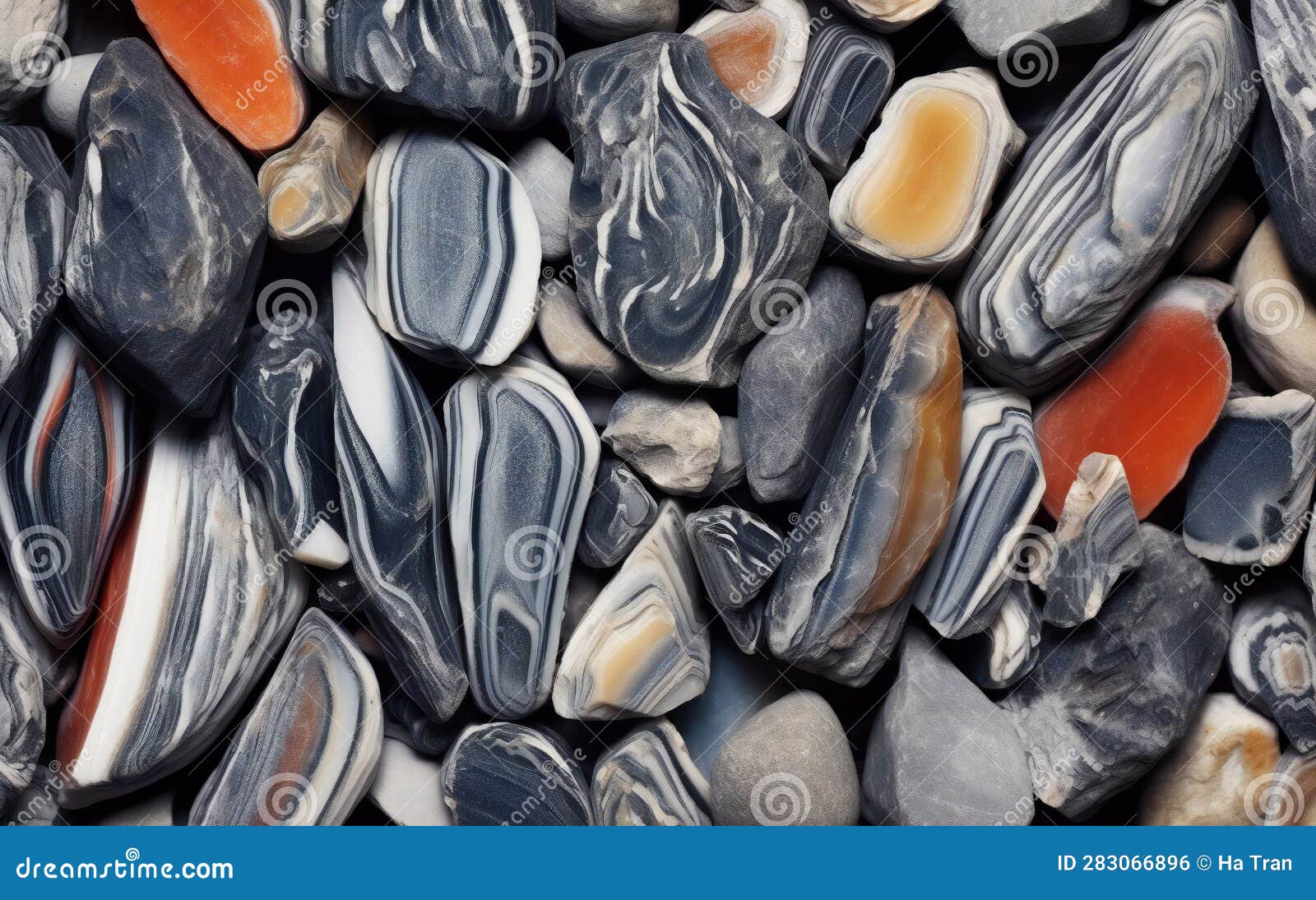 Variety of Different Types of Stone Pebbles on a Beach Stock ...