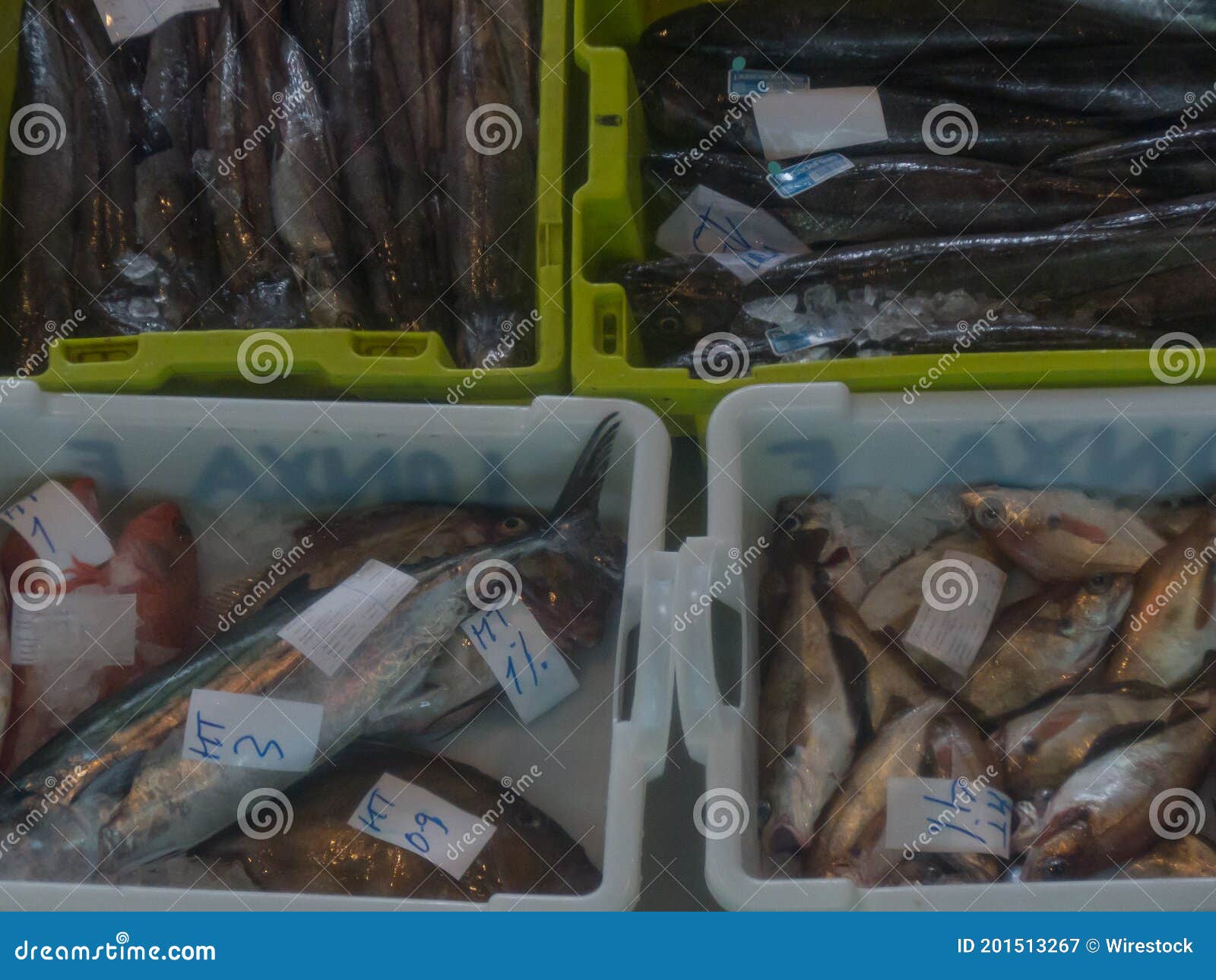 Variety of Fish in Plastic Boxes at a Fish Auction Stock Image - Image ...