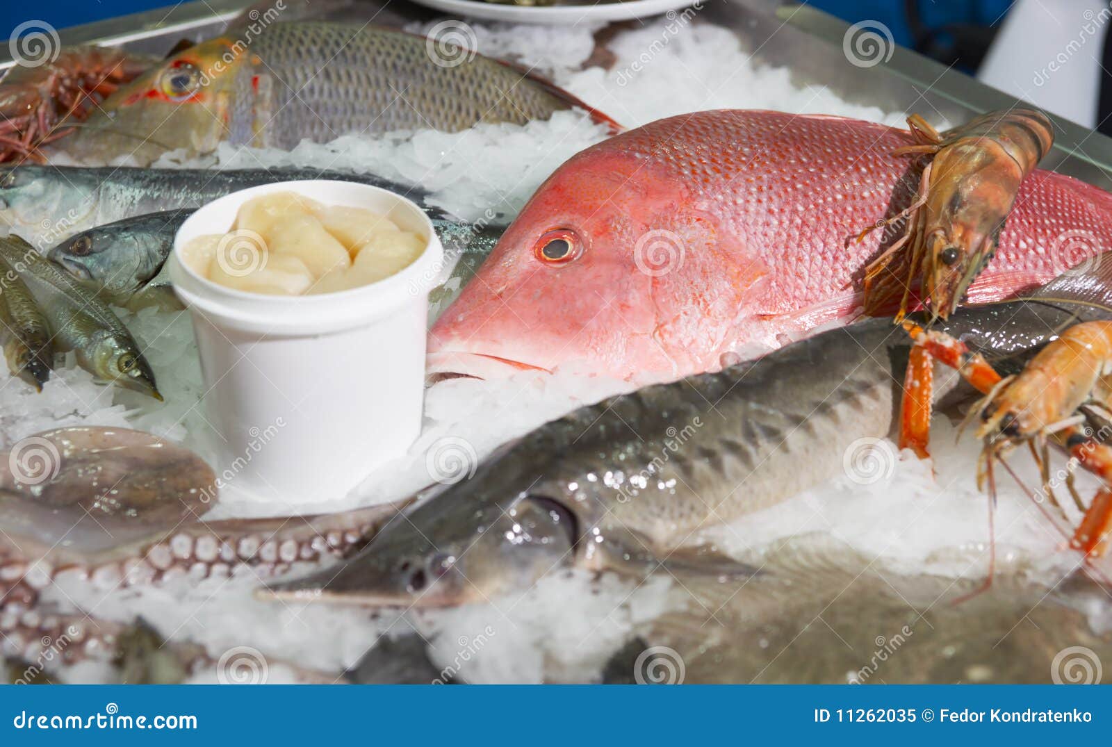 Variety of Fish and Seafood on Market Ice Display Stock Image - Image ...