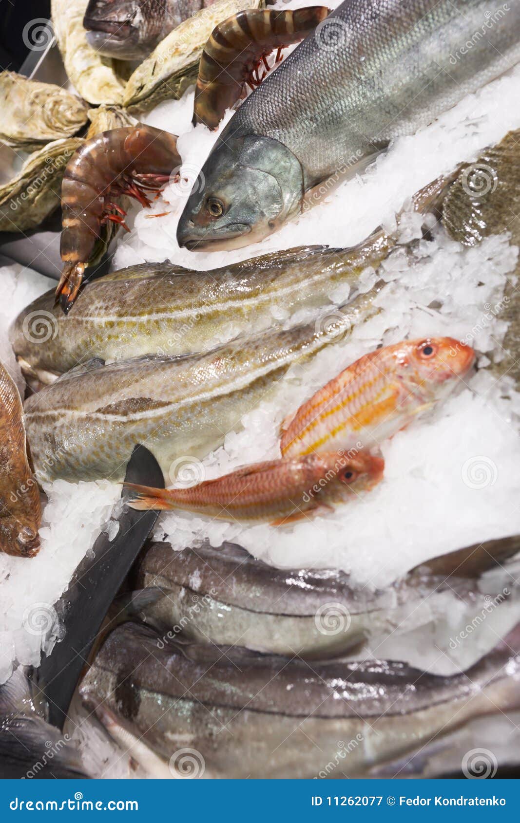 Variety of Fish and Seafood on Market Ice Display Stock Image - Image ...