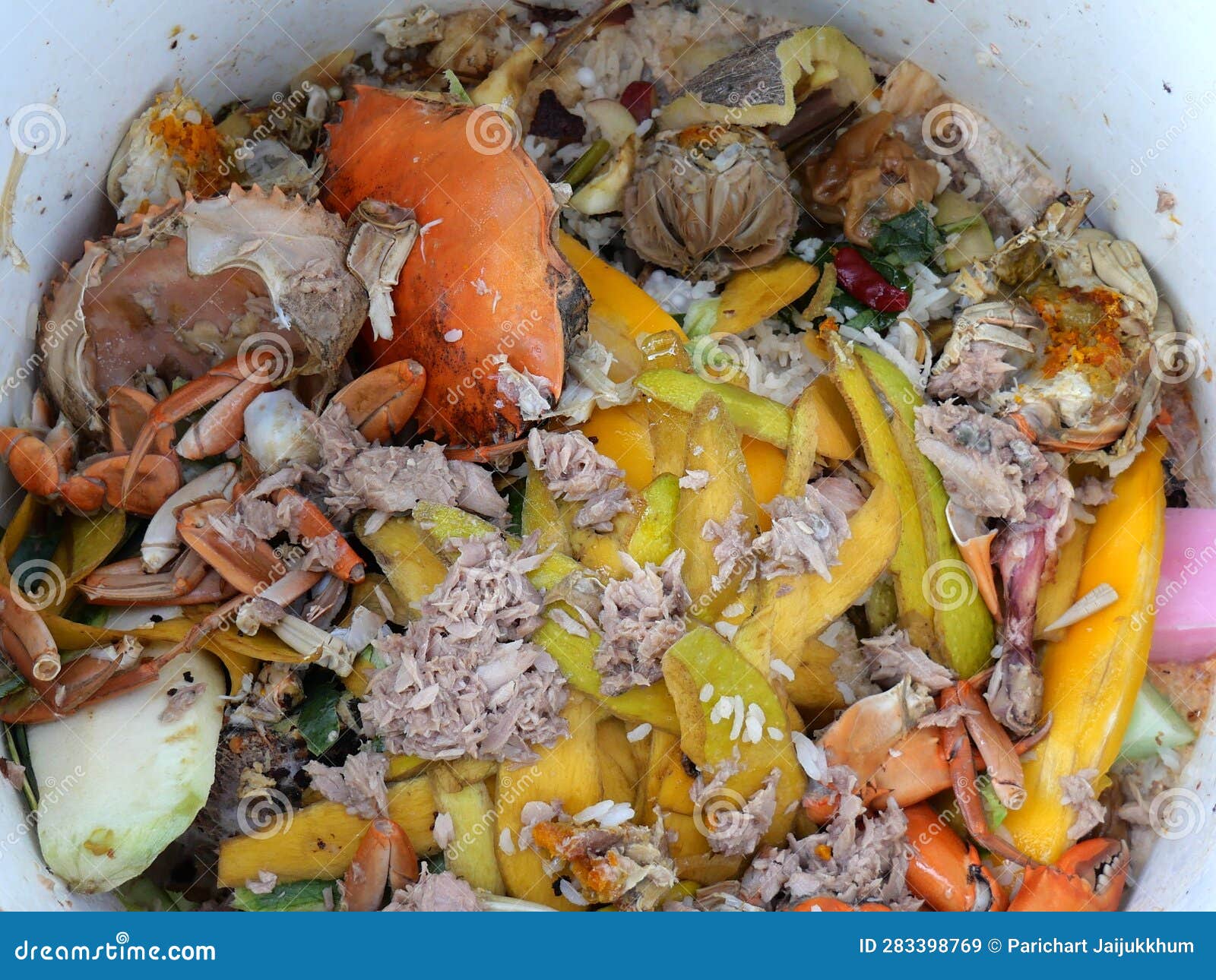 A Variety of Food Scraps in the Trash Stock Image - Image of food ...