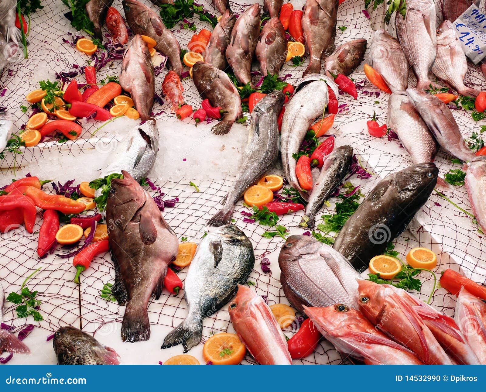 Variety of fresh fish stock photo. Image of fish, health - 14532990