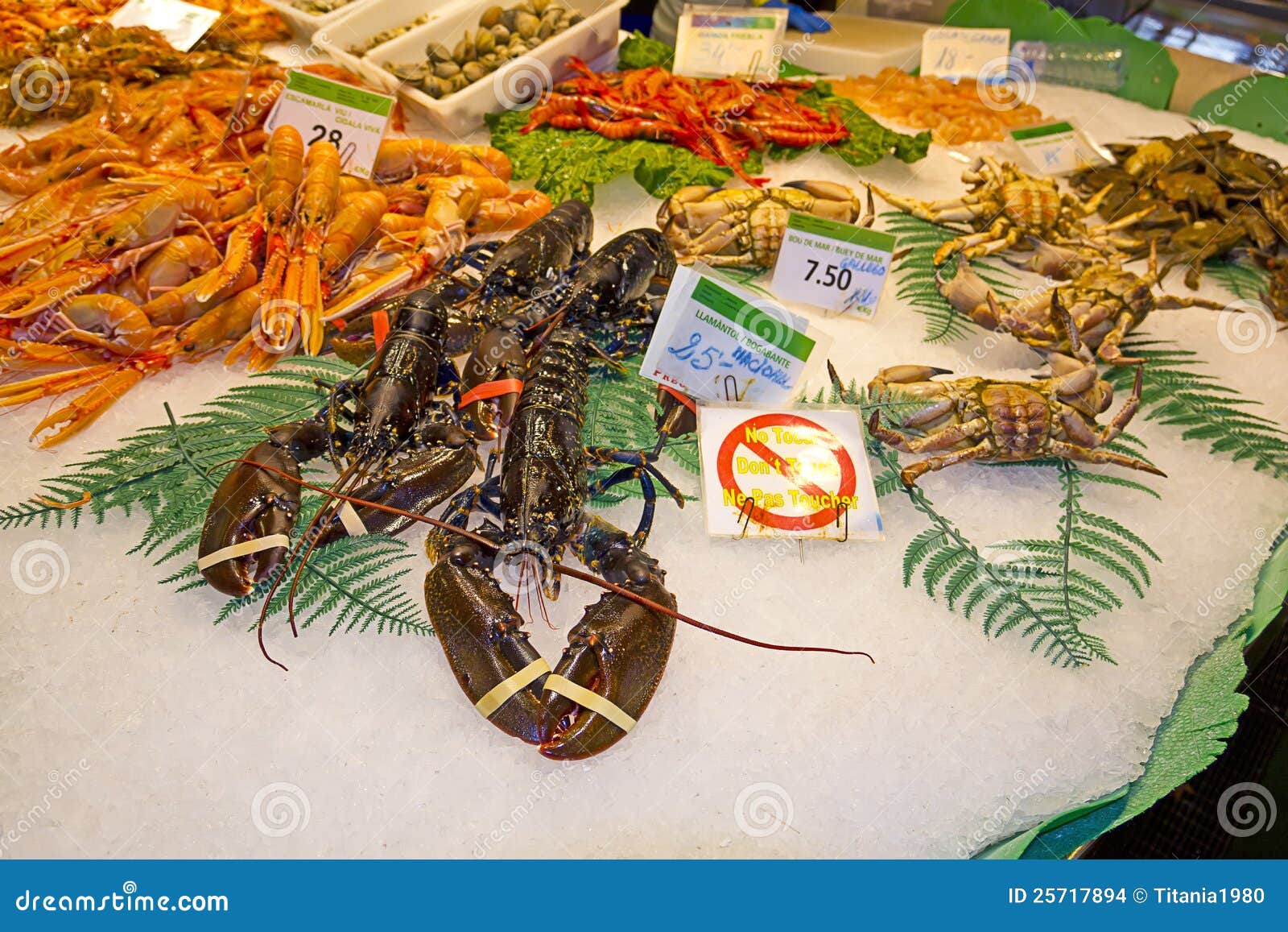 Variety of Fresh Fish in the Market Stock Photo - Image of assortment ...
