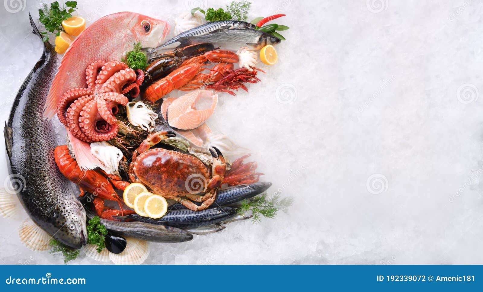 Variety of Fresh Fish and Seafood Stock Photo - Image of restaurant ...