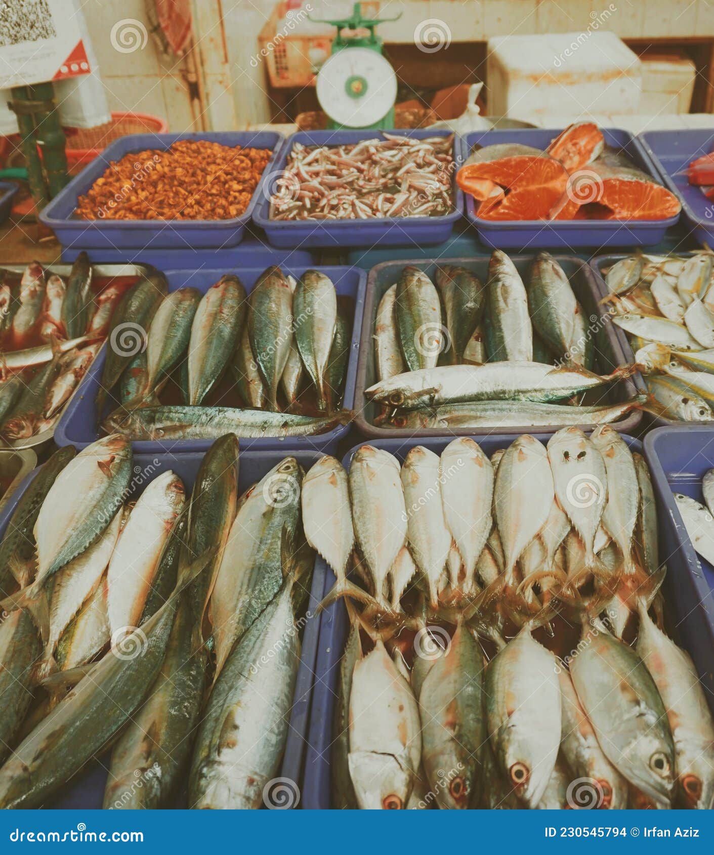 A Variety of Fresh Fish at the Traditional Market Stock Photo - Image ...