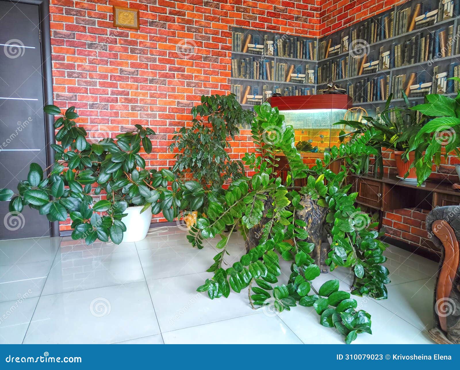 A Variety of Green Plants Complement a Home Library with a Red Brick ...