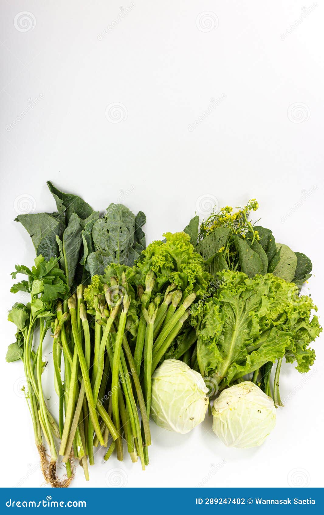 Variety of Green Vegetables Isolated on White Background. Top View ...