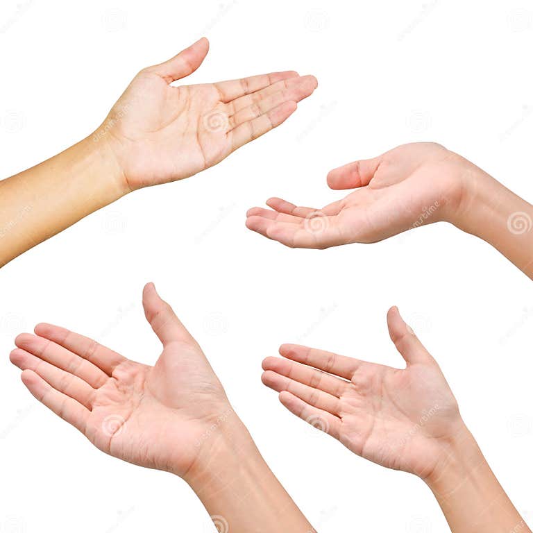 Variety of Hands in Different Poses Stock Photo - Image of abstract ...