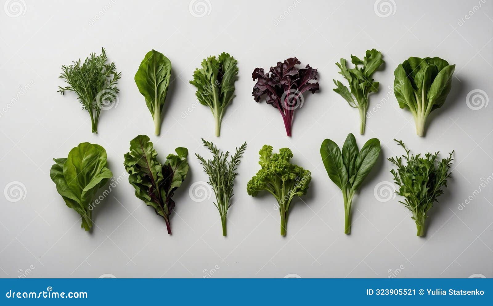 Variety of healthy greens stock illustration. Illustration of celery ...
