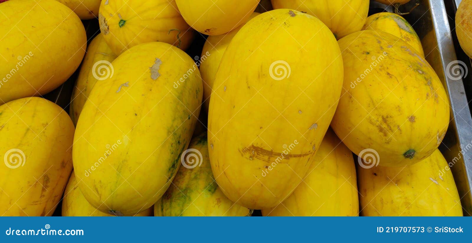 Variety of Mangoes. Fresh Group of Mangoes Stock Image - Image of food ...