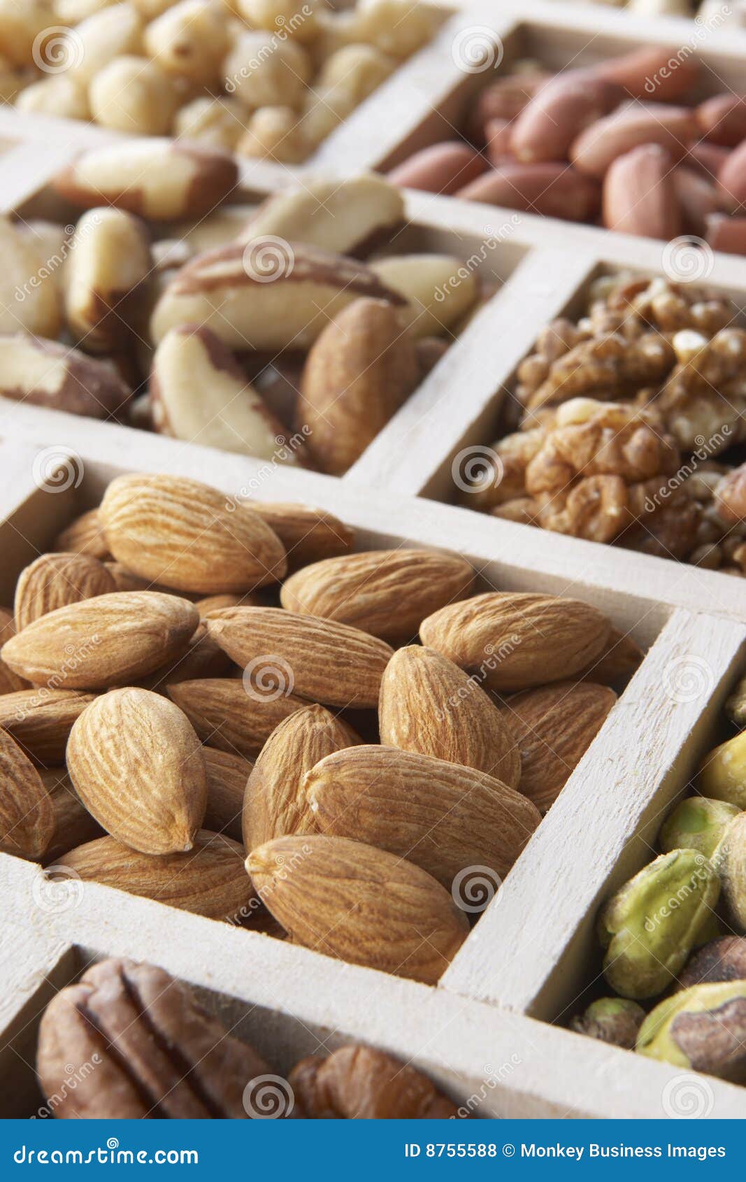 Variety of Nuts stock photo. Image of macadamia, choice - 8755588