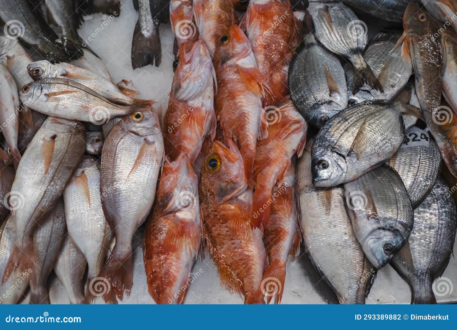 A Variety of Oceanic Fish at Market. Stock Photo - Image of water ...