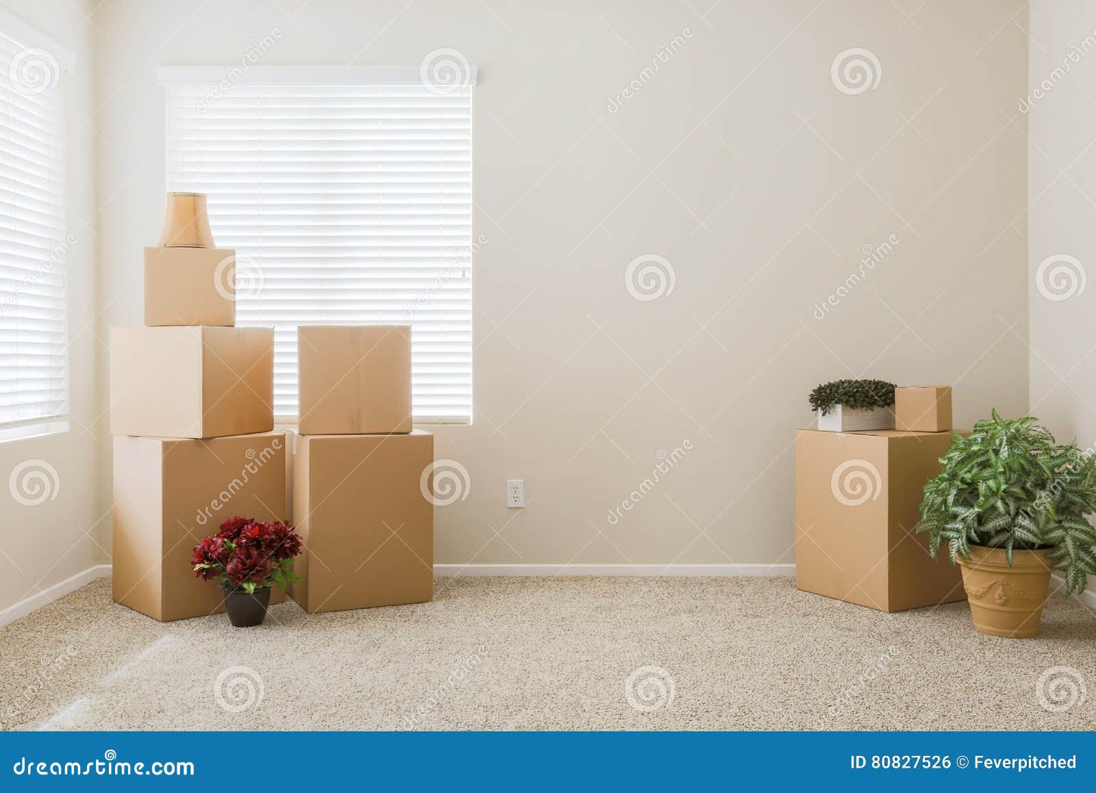 Variety of Packed Moving Boxes in Empty Room Stock Photo - Image of ...