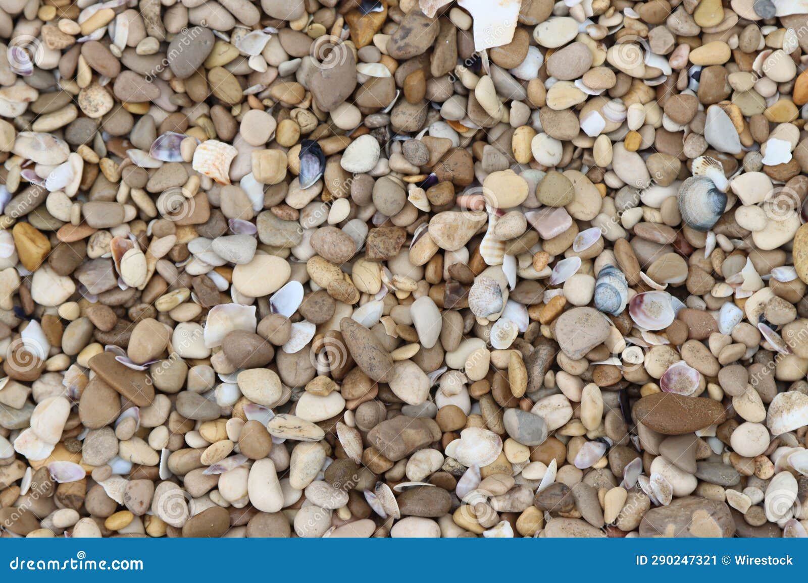 Variety of Pebbles and Rocks in a Pile on the Beach Stock Image - Image ...