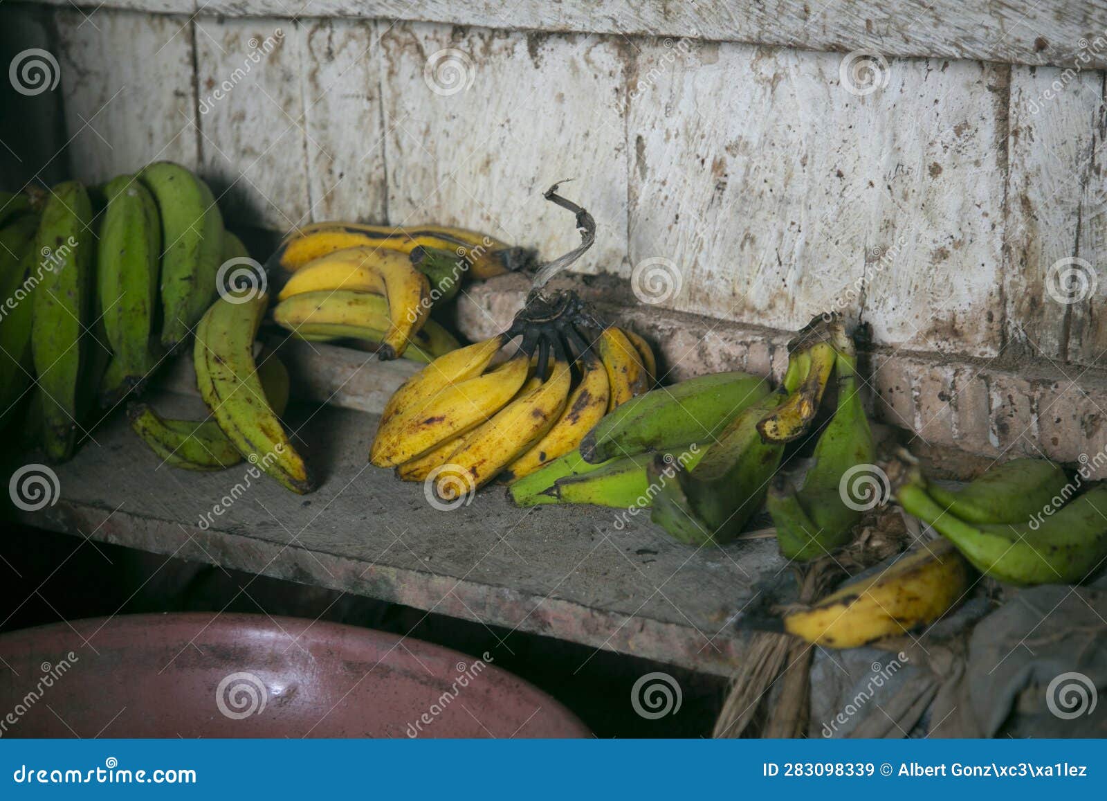 Variety of Peruvian Banana from the Peruvian Jungle Area in the Amazon ...