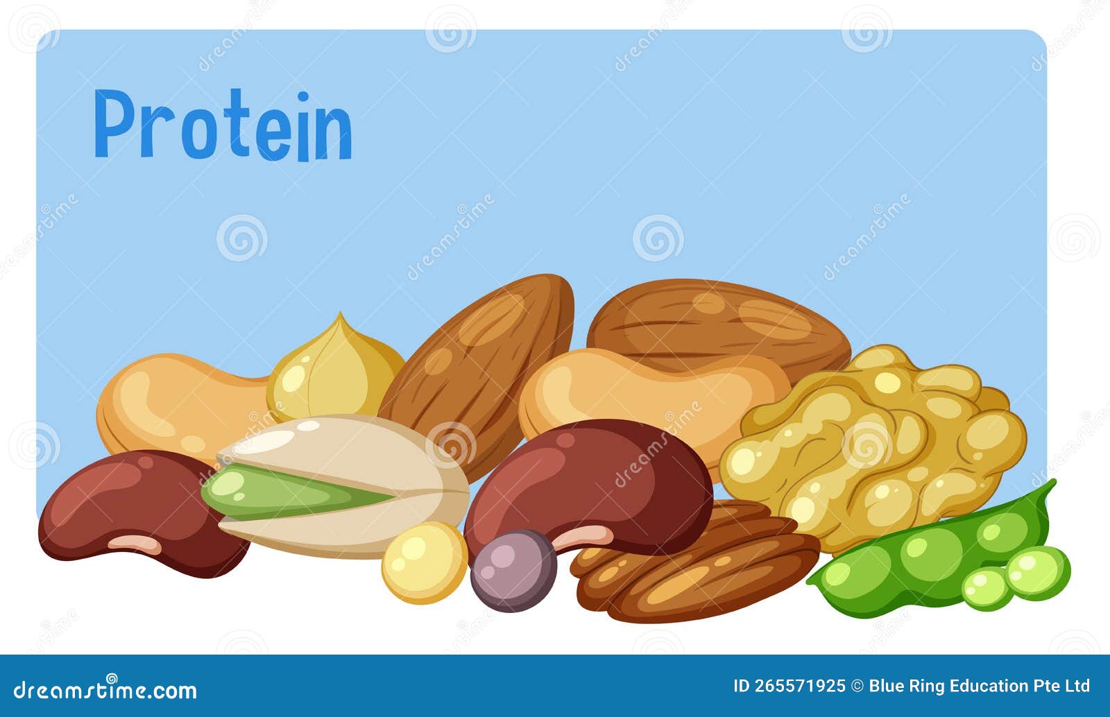 Variety of protein foods stock vector. Illustration of vector - 265571925